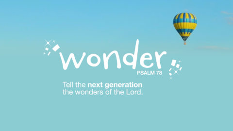 Welcome to Church of the Nativity | Timonium, MD Catholic Mass